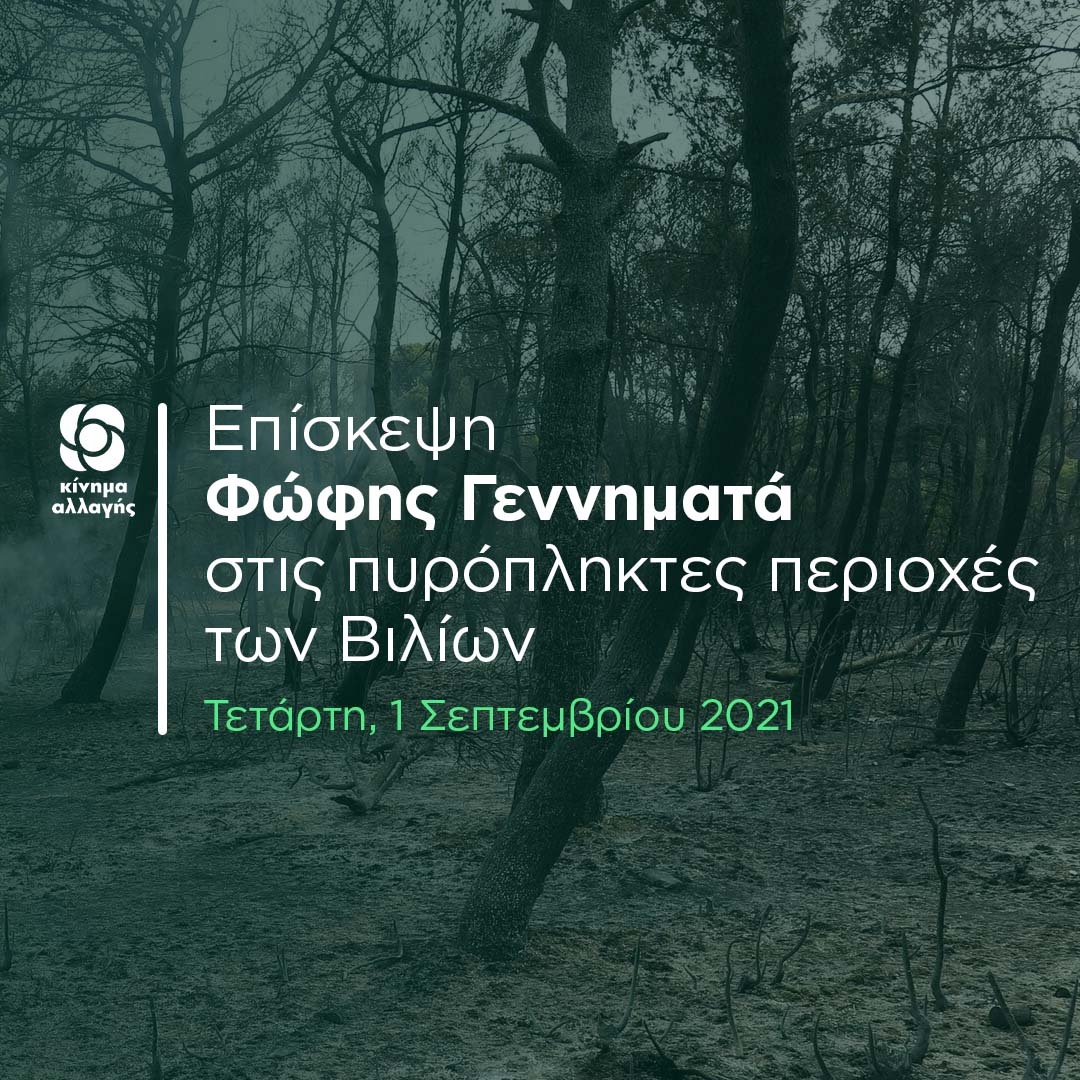 Επίσκεψη Φώφης Γεννηματά στις πυρόπληκτες περιοχές των Βιλίων – ΠΑΣΟΚ ...
