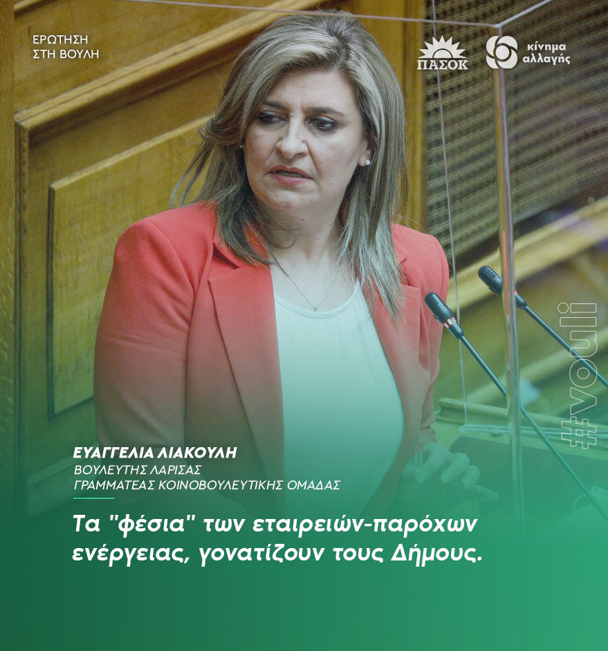 Ευαγγελία Λιακούλη: «Τα “φέσια” των εταιρειών-παρόχων ενέργειας ...