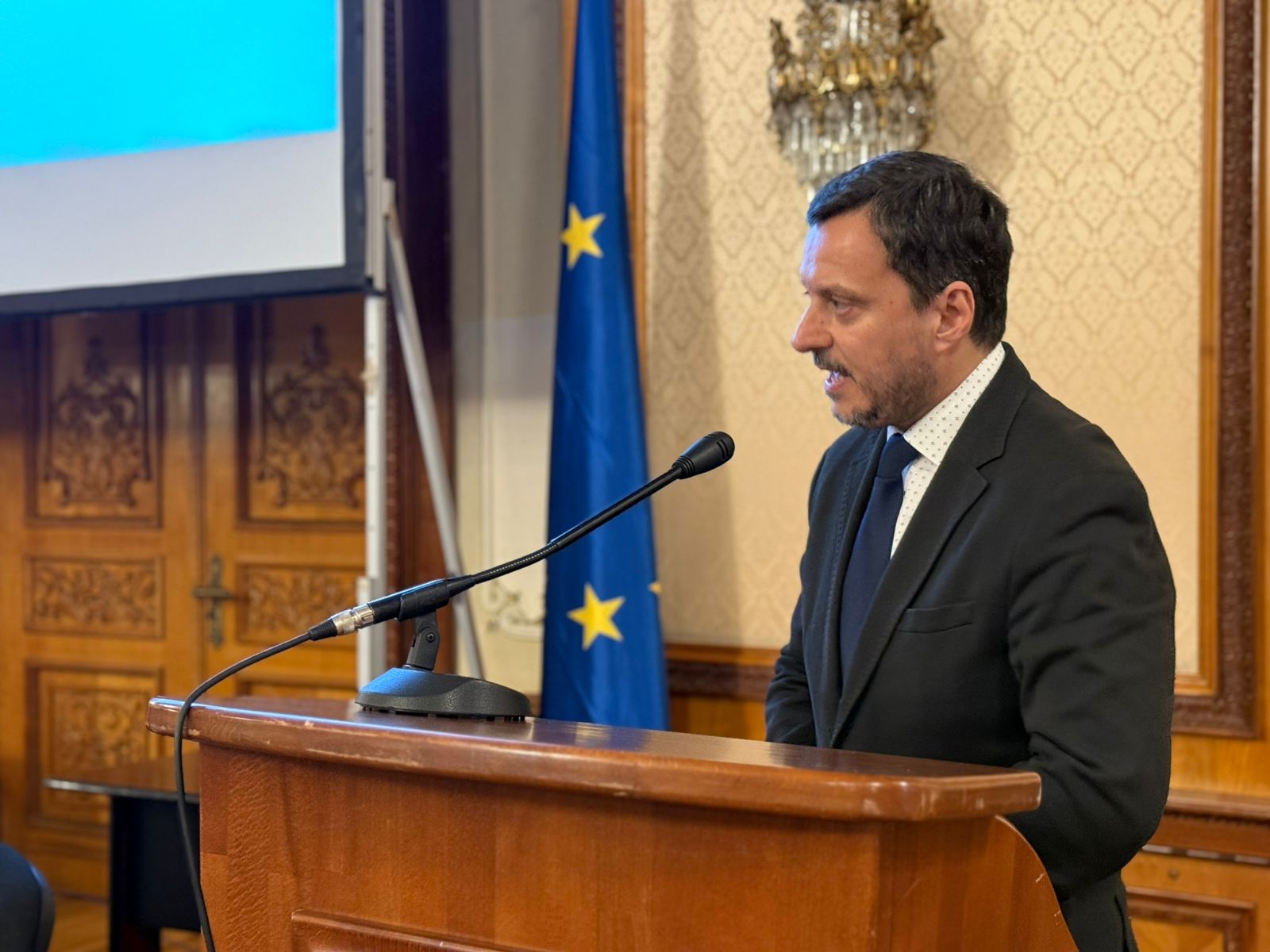 Αναπληρωτής Γενικός Γραμματέας της Διακοινοβουλευτικής Συνέλευσης ...